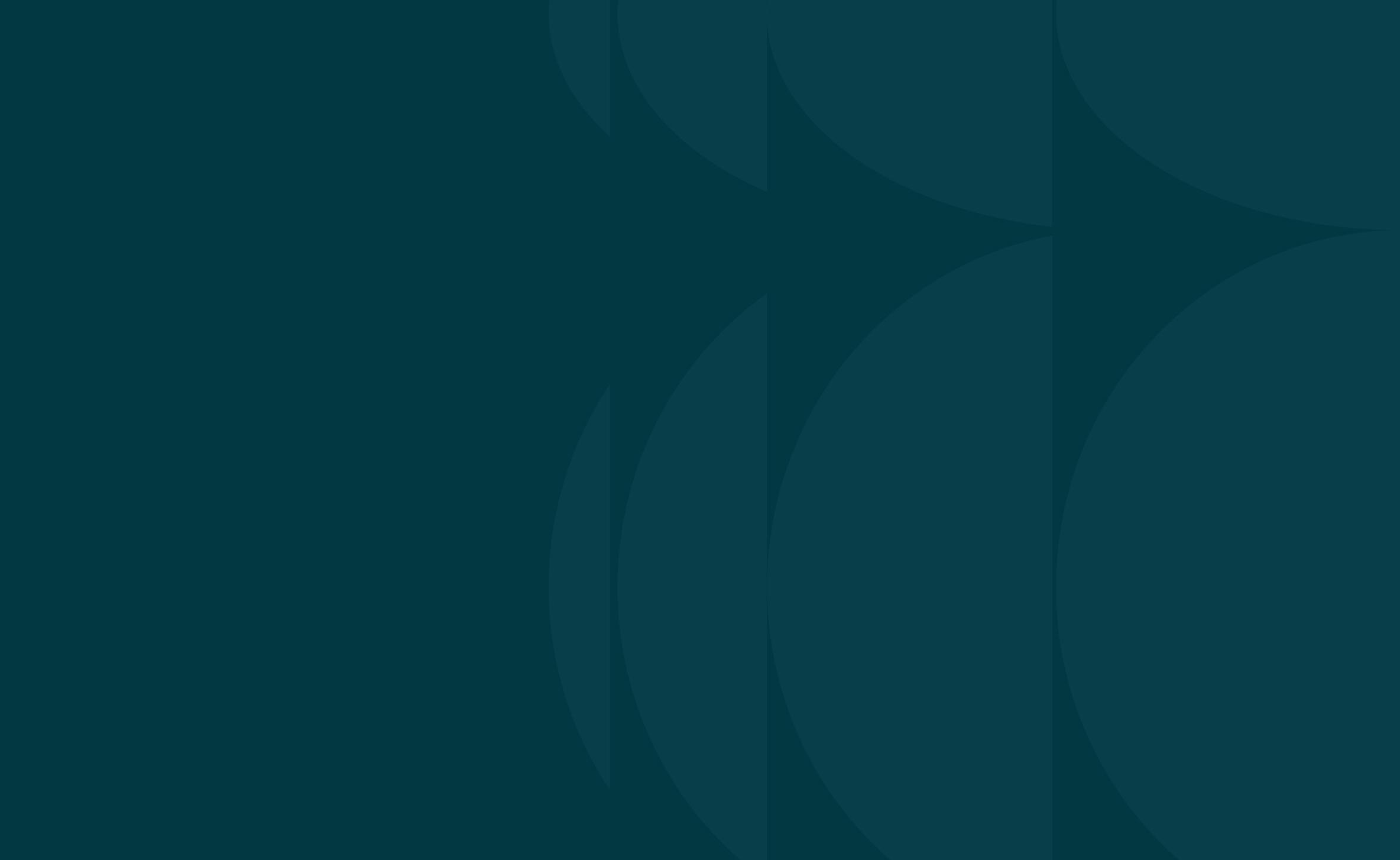 Strive Internship Programme